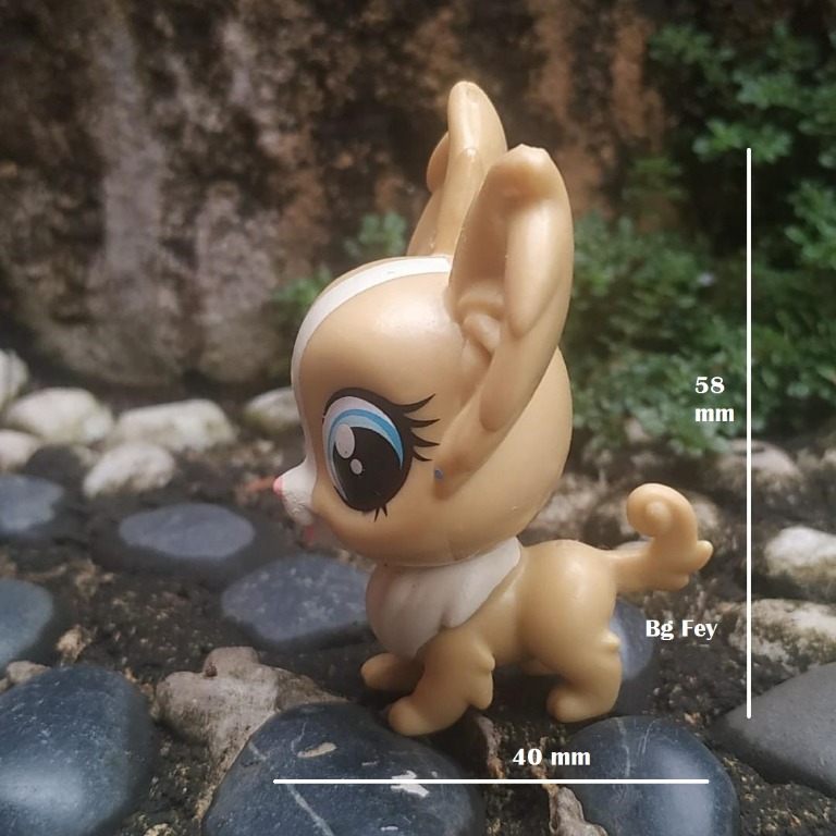 Littlest Pet Shop - G5 Papillon Dog PVC Figure, Toys & Collectibles ...