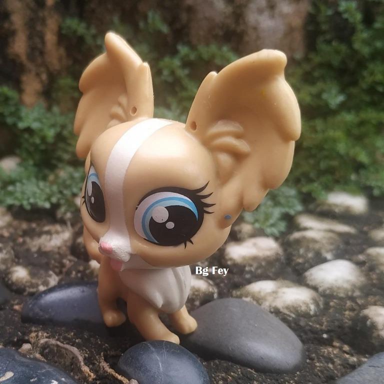 Littlest Pet Shop - G5 Papillon Dog PVC Figure, Toys & Collectibles ...