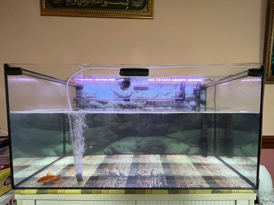 3 Feet Fish Tank, Pet Supplies, Homes & Other Pet Accessories on Carousell