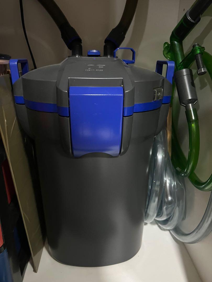 3 Feet Fish Tank, Pet Supplies, Homes & Other Pet Accessories on Carousell