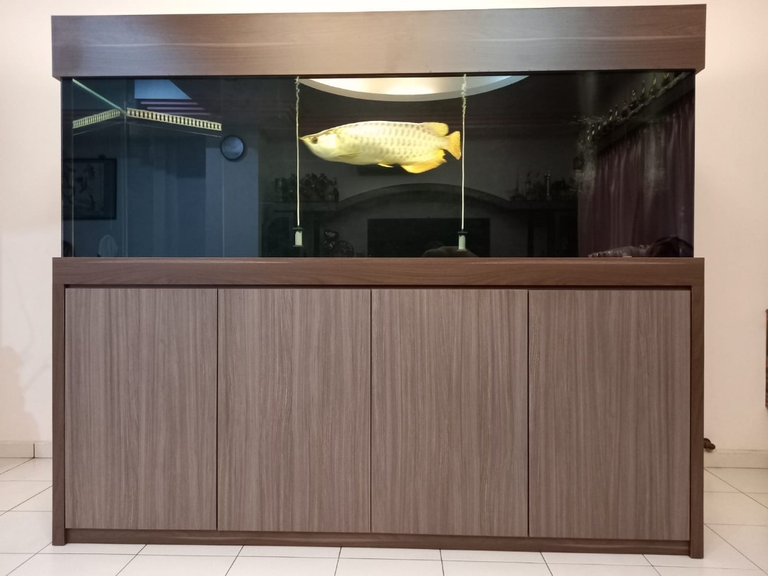 7ft (L) x 3ft (W) x 2ft (H) fish tank with sump, Pet Supplies, Homes ...