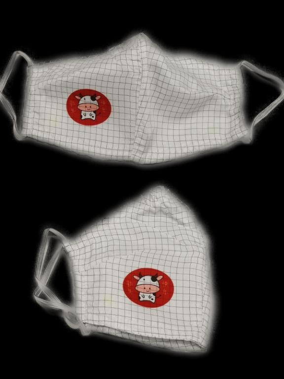 Anti-static cleanroom fabric mask (2 layer of Anti-static mask), Health ...