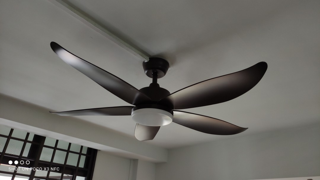 Bestar Star 5 Mocha, Furniture & Home Living, Lighting & Fans, Fans on ...