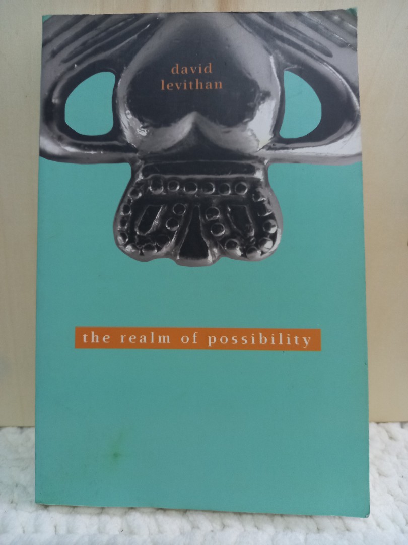 David Levithan The Realm of Possibility, Hobbies & Toys, Books ...