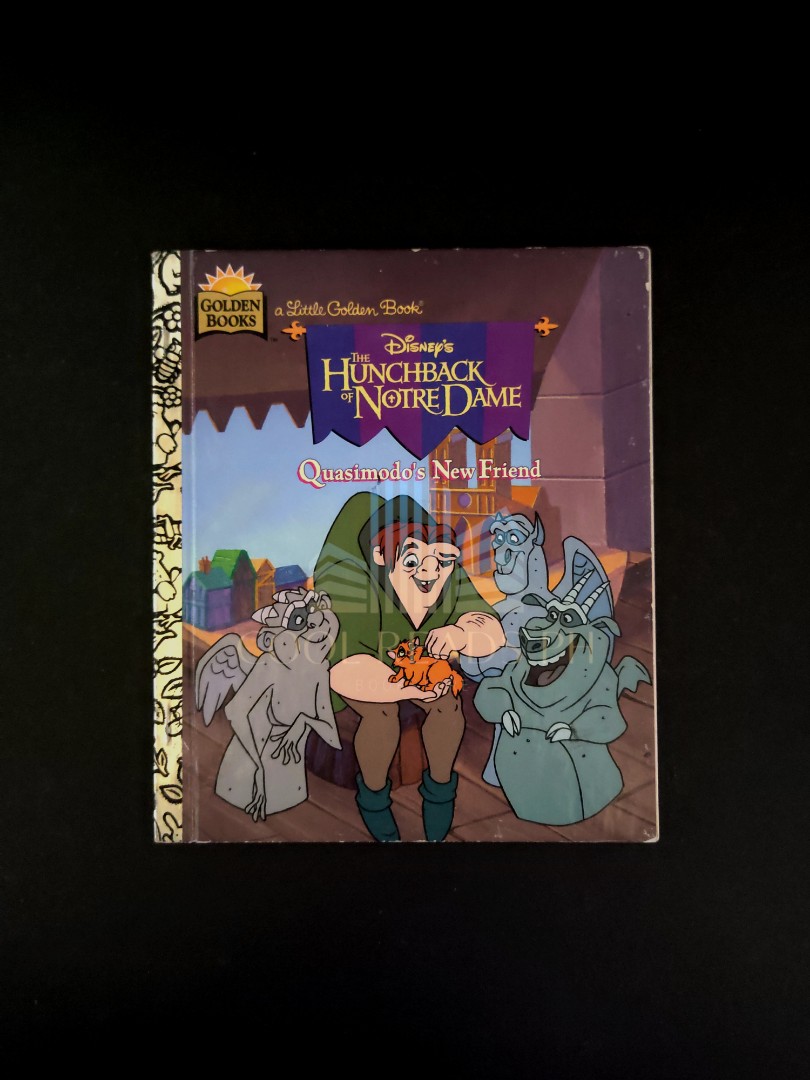 Disney's Hunchback of Notre Dame: Quasimodo's New Friend (Hardbound ...