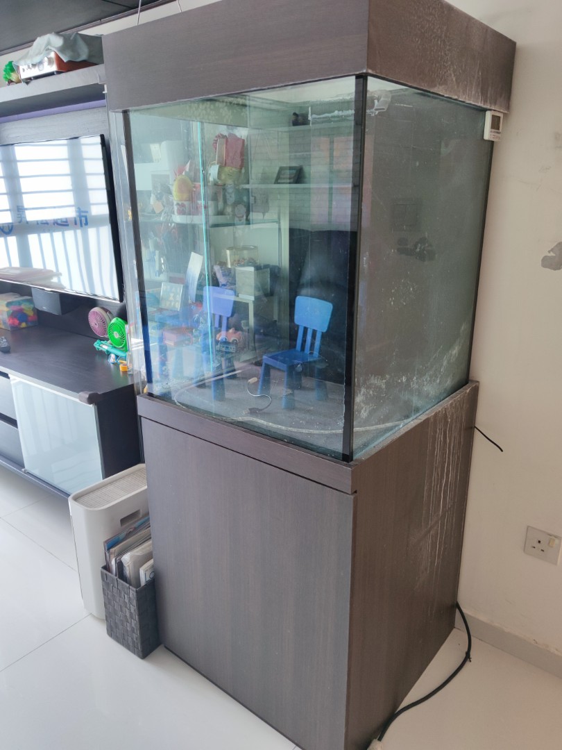 Fish tank 2ft x 2ft x 2.5ft w/overflow filtration, Pet Supplies, Homes ...