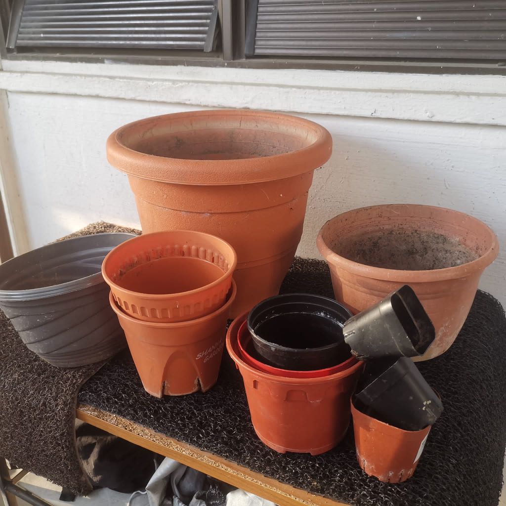 FREE Plant Pots, Furniture & Home Living, Gardening, Pots & Planters on ...