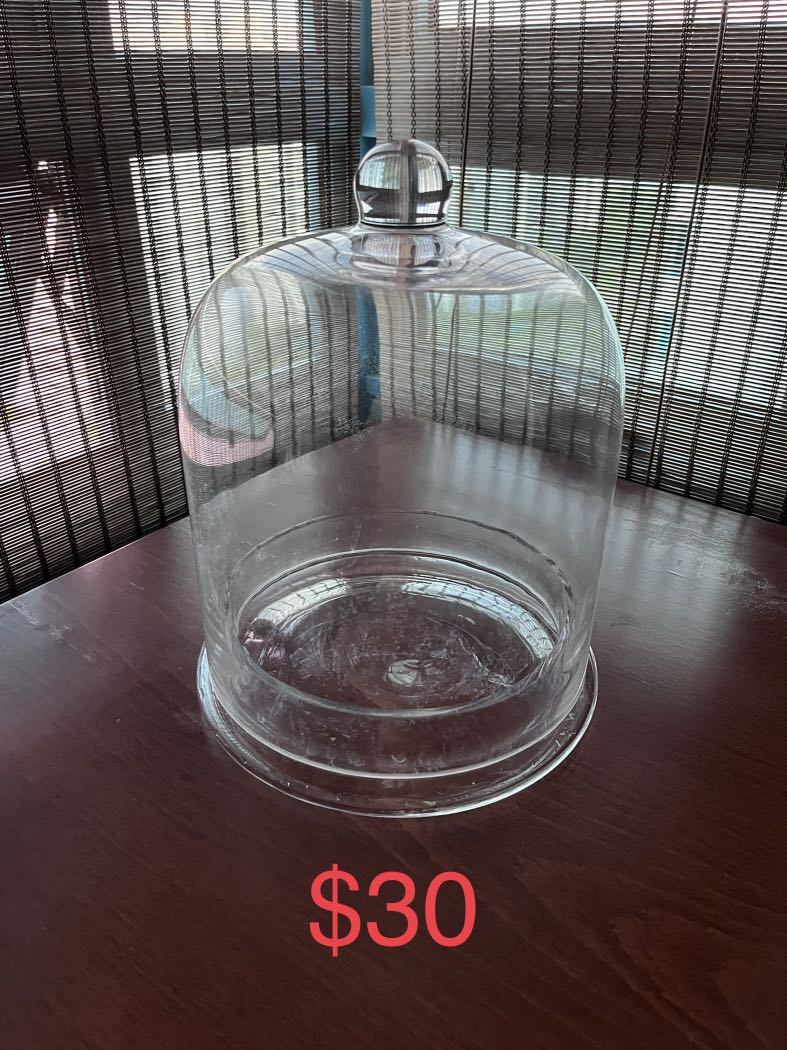 Glass Doom Jar for Terrarium & Succulents, Furniture & Home Living ...