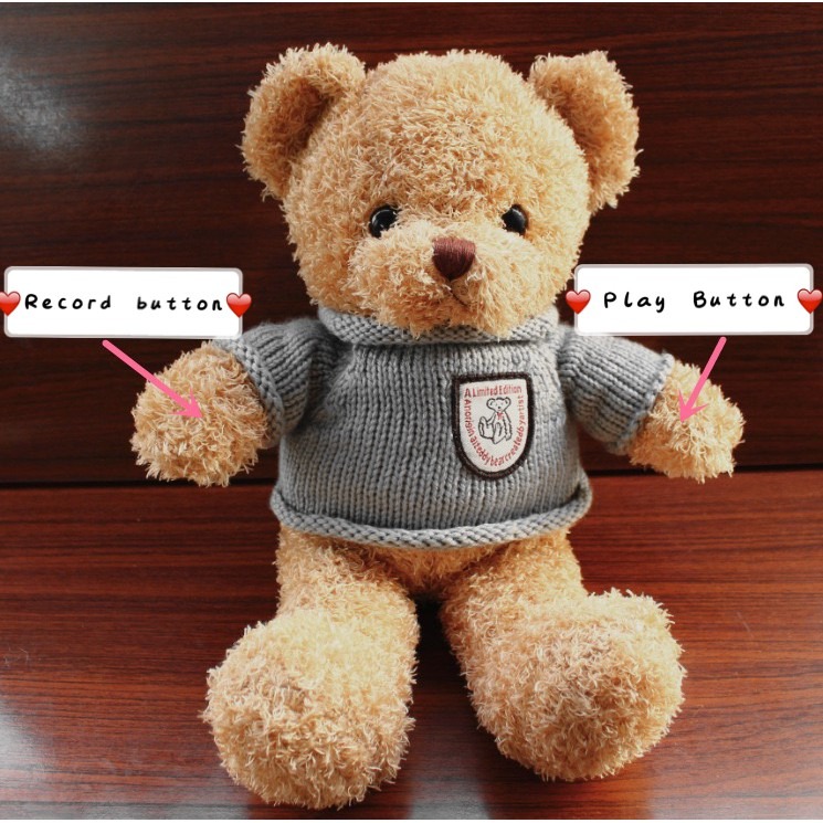Recording Bear Voice Recorder Teddy Bear Gift Present Birthday, Hobbies ...