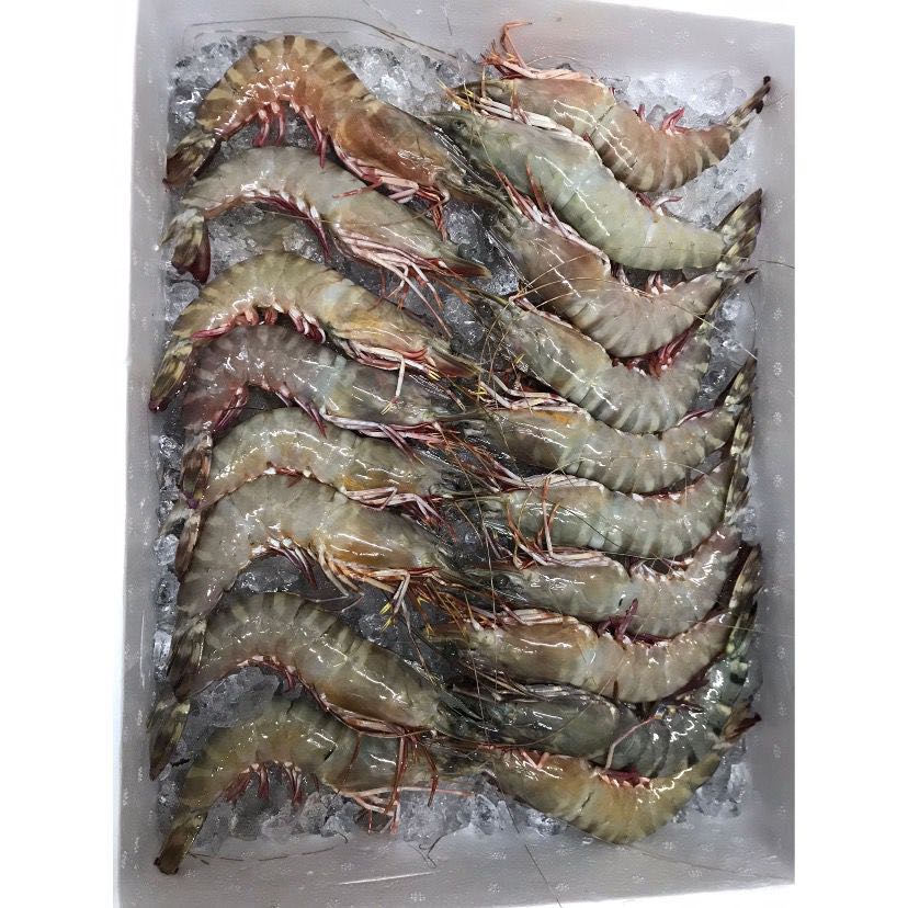 Sea-Caught Freshly Frozen Flower Prawns, Food & Drinks, Fresh Produce ...