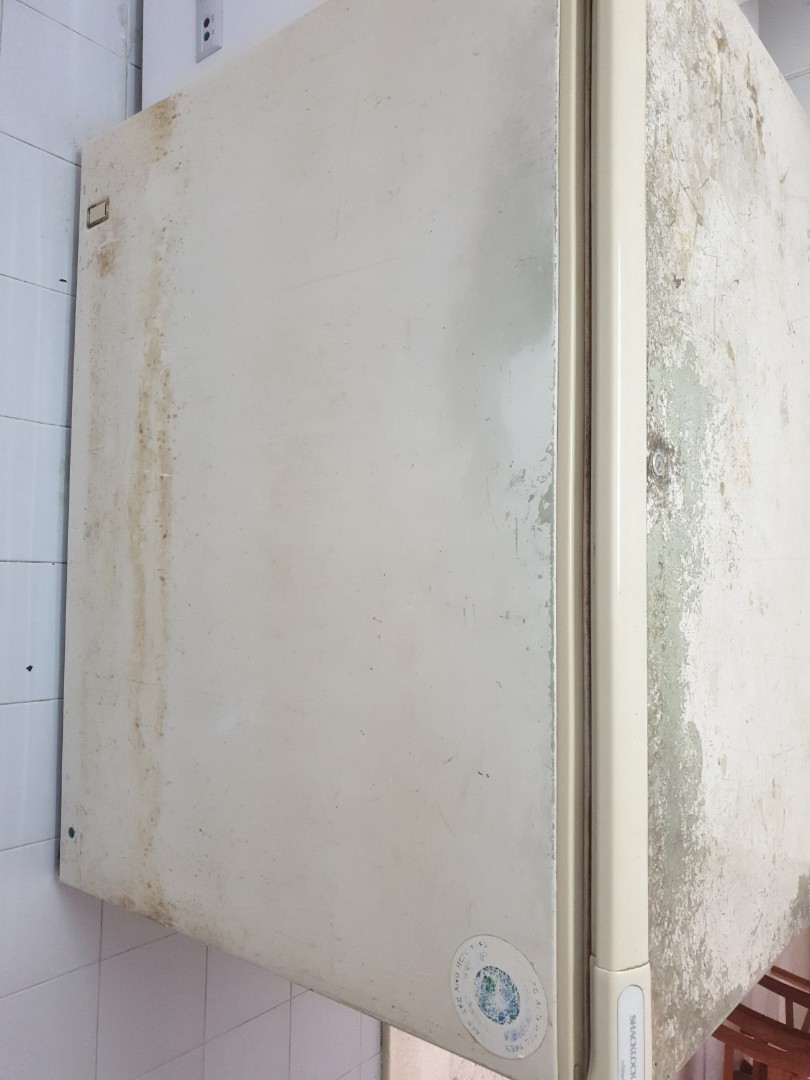 Shacklock Fisher & Paykel Chest Freezer, TV & Home Appliances, Kitchen ...