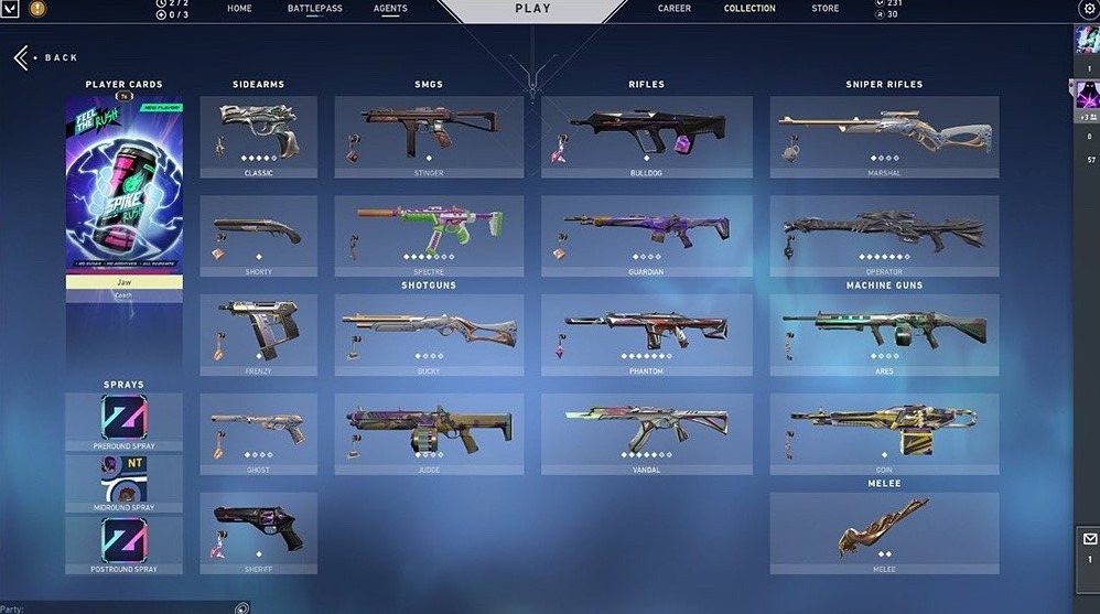 Stacked Silver 3 Valorant Account, Video Gaming, Gaming Accessories ...