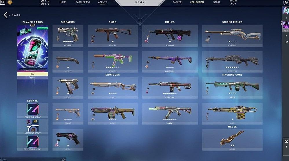 Stacked Silver 3 Valorant Account, Video Gaming, Gaming Accessories ...