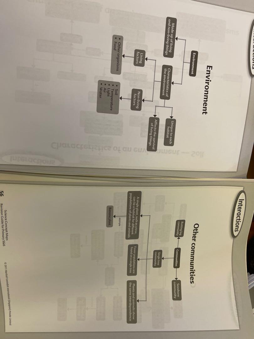 PSLE P5/6 Science concept maps, Hobbies & Toys, Books & Magazines ...