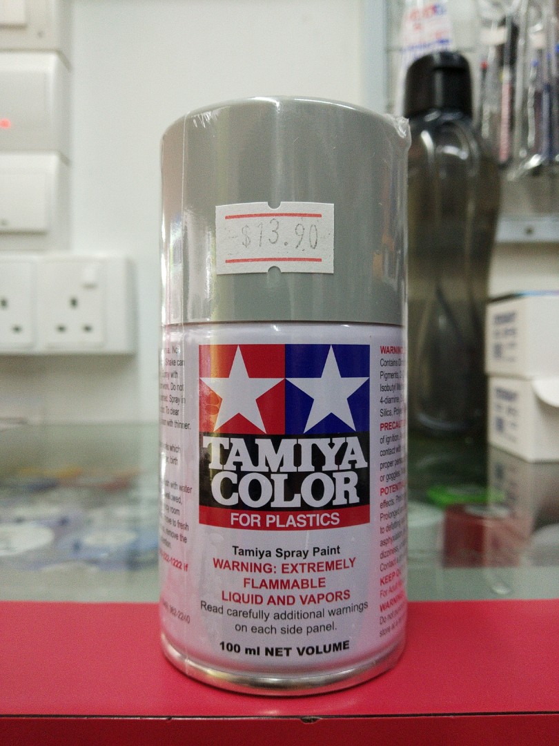 Tamiya TS-81 Royal Light Gray Spray Paint For Plastic, Hobbies & Toys ...