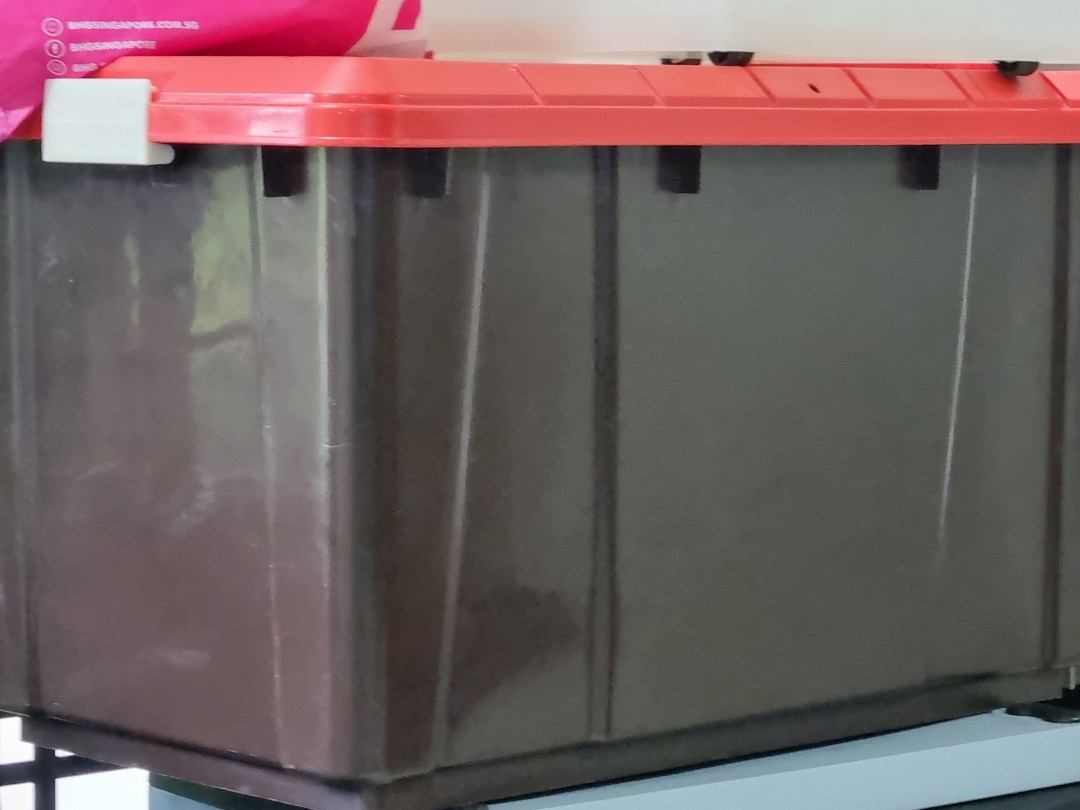 Toyogo Very Large Box, Furniture & Home Living, Home Improvement ...