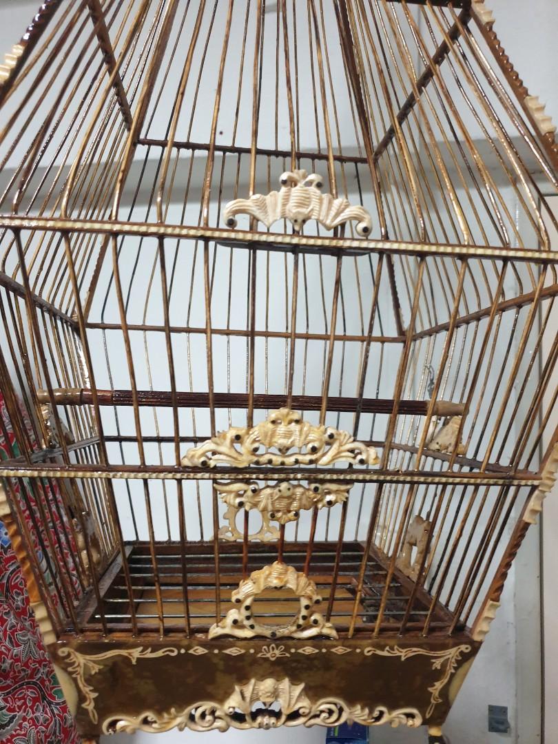 15s pinang pipit bat cage, Pet Supplies, Homes & Other Pet Accessories ...