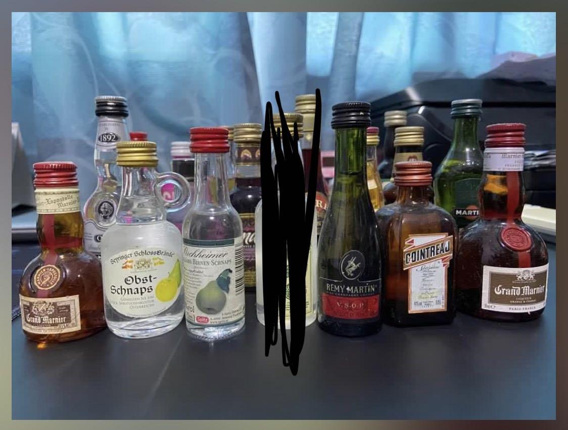 29 bottles bundle @ $70 Mini Alcohol Liquor Vodka Whiskey Martel ...