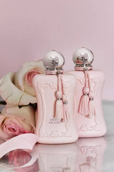 DELINA & DELINA EXCLUSIF DECANT BUNDLE, Beauty & Personal Care ...