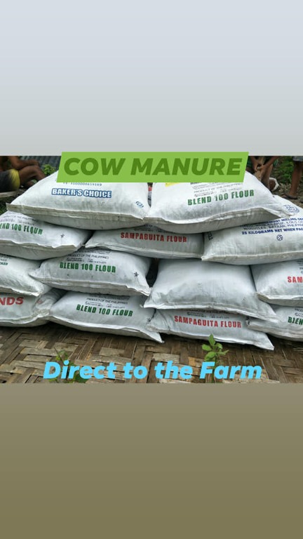 Cow Manure Sack (10-12KG), Furniture & Home Living, Gardening ...