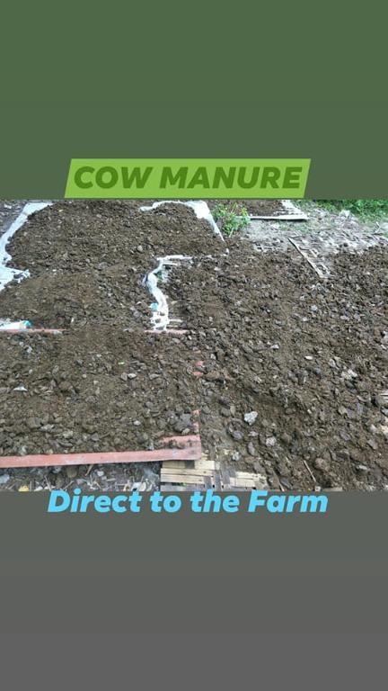 Cow Manure Sack (10-12KG), Furniture & Home Living, Gardening ...