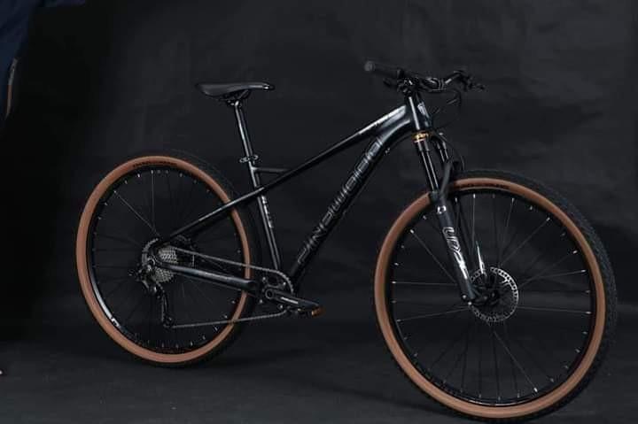 PINEWOOD RAPTOR 2.0 "29er 2022 model, Sports Equipment, Bicycles ...