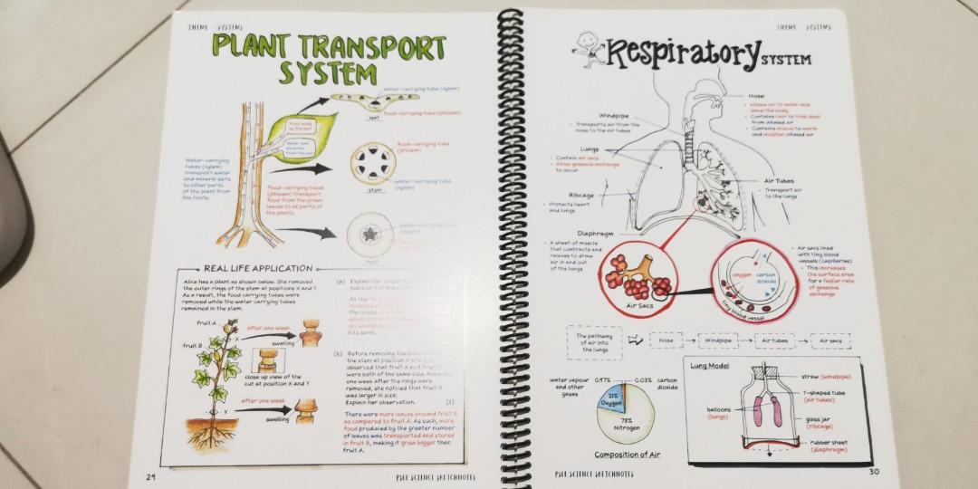 PSLE Science Sketchnotes, Hobbies & Toys, Stationery & Craft, Craft ...
