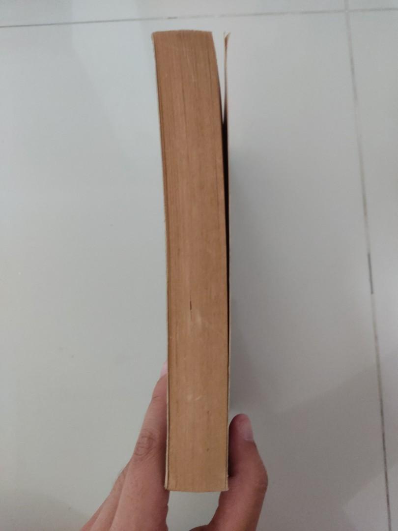 Runaway by Skye Sinclair, Hobbies & Toys, Books & Magazines, Fiction & Non-Fiction on Carousell