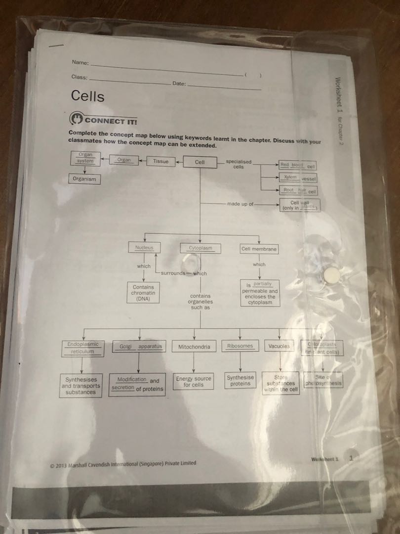 Sec3/4 Biology Workbook Answer Key (Olevel), Hobbies & Toys, Books ...