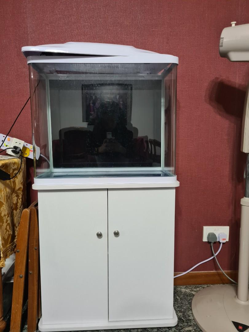 30L Fish Tank., Pet Supplies, Homes & Other Pet Accessories on Carousell