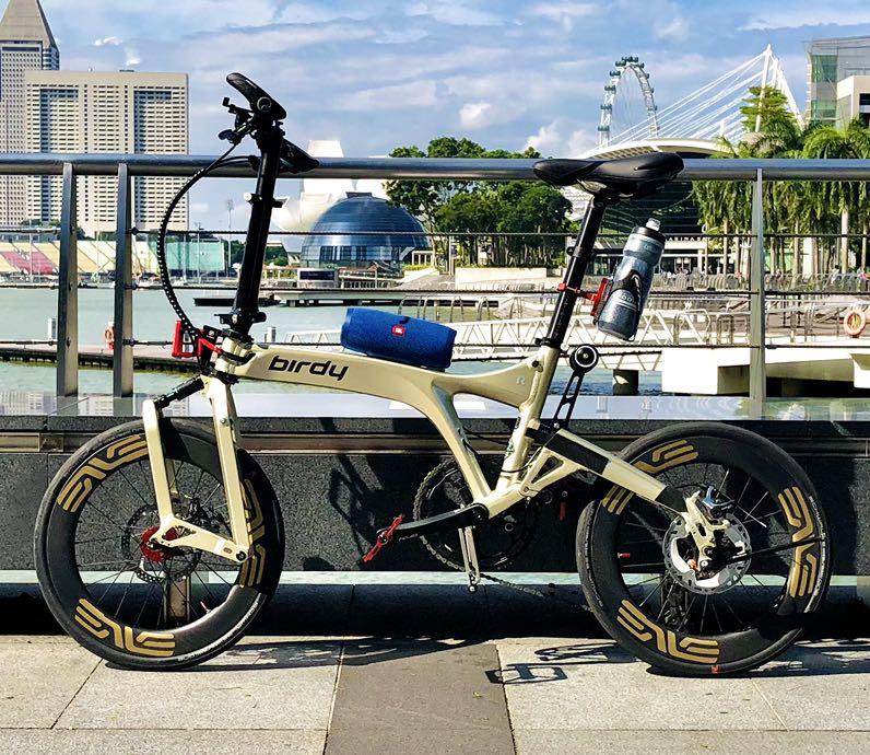 Birdy R20 High Mod - Super Fast @50kmh, Sports Equipment, Bicycles ...