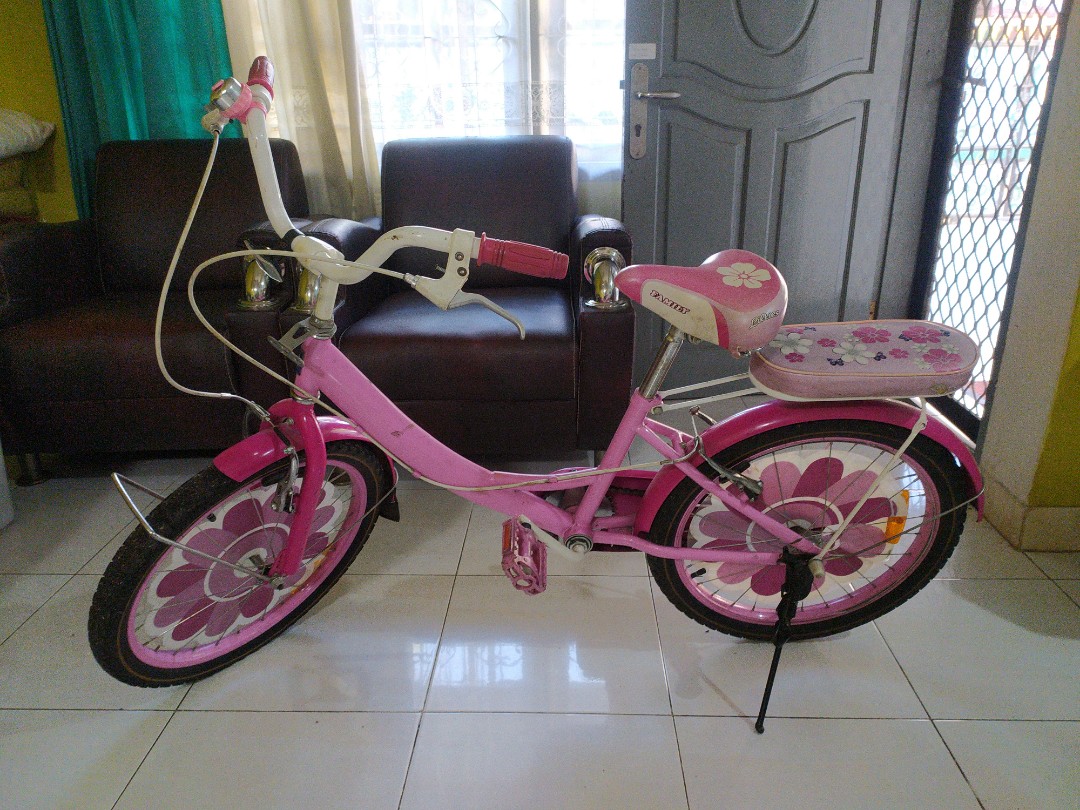 Sepeda Anak Merek Family Warna Pink + Keranjang, Olah Raga, Sepeda di ...