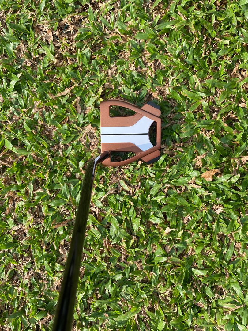 Taylormade Spider X Putter, Sports Equipment, Sports & Games, Golf on ...