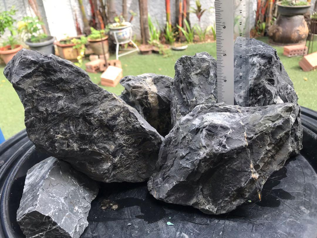 Aquatic Rocks Seiryu dragon stone Iwagumi Aquascape Japan Iwagumi, Pet ...