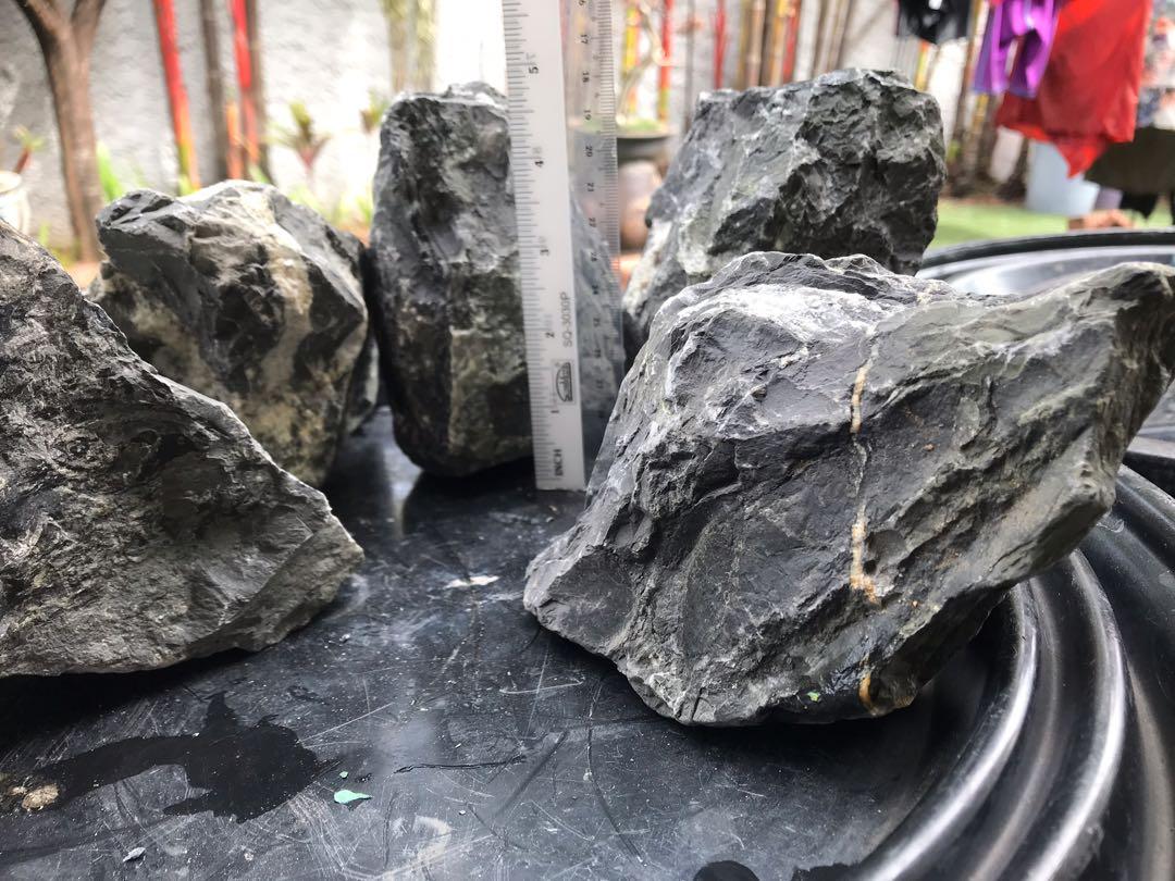 Aquatic Rocks Seiryu dragon stone Iwagumi Aquascape Japan Iwagumi, Pet ...