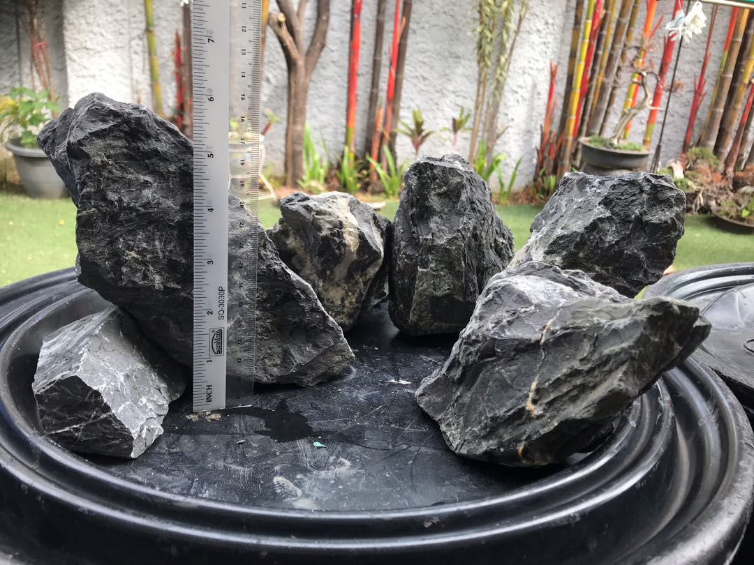 Aquatic Rocks Seiryu dragon stone Iwagumi Aquascape Japan Iwagumi, Pet ...