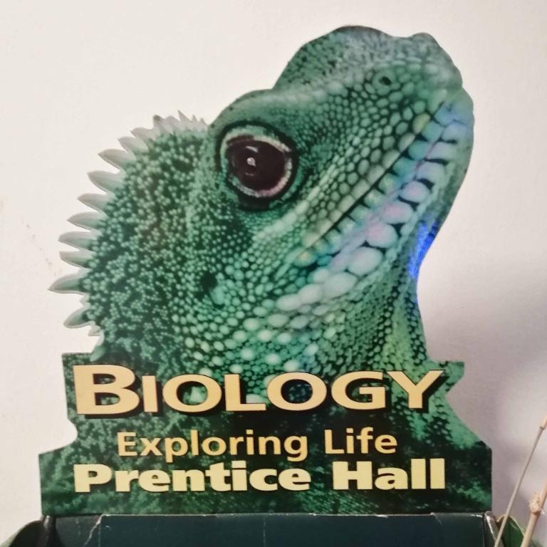 3D Lizard Reptiles Display Shelf, Furniture & Home Living, Furniture ...