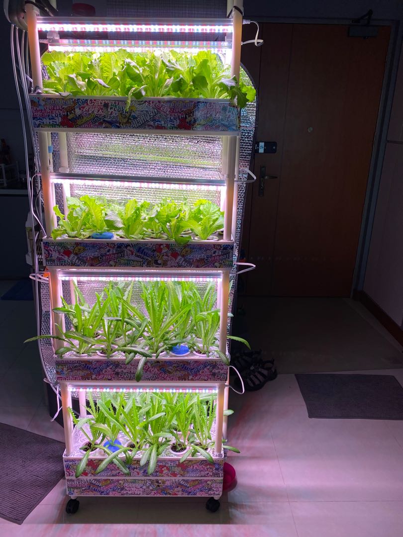4 tier hydroponic system to grow vegetables, Furniture & Home Living ...