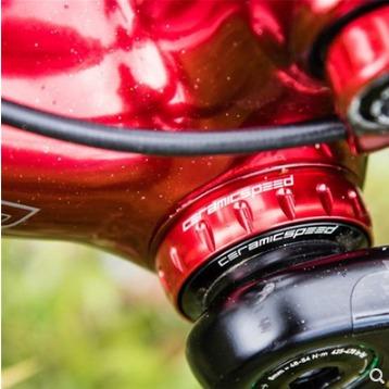 ceramicspeed BIKE STICKER 單車 貼紙 車身貼, 運動產品, 單車及配件, 單車 - Carousell