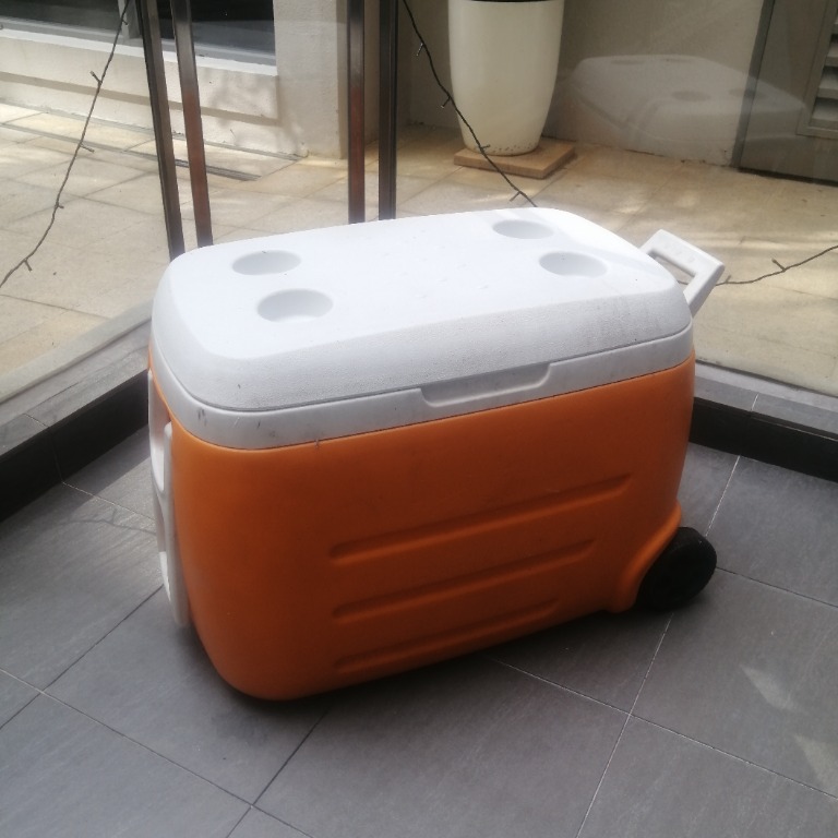 Esky chilli bin cool box, Sports Equipment, Other Sports Equipment and ...