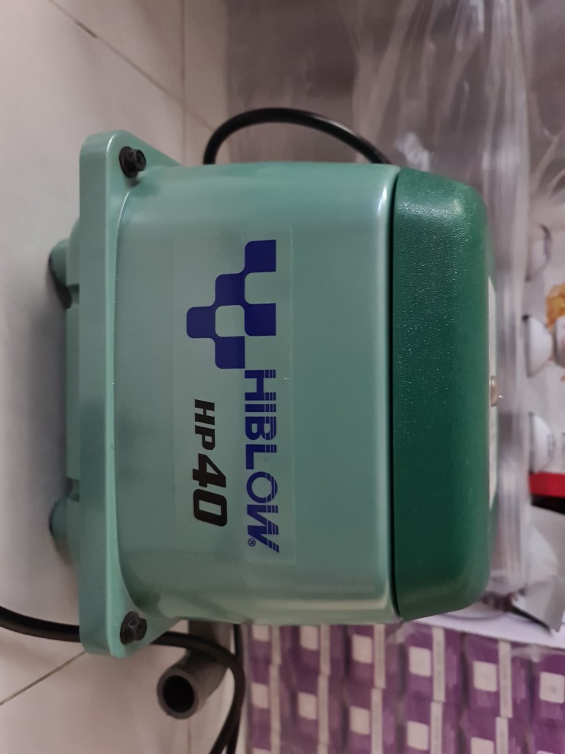 HIBLOW hP 40, Pet Supplies, Homes & Other Pet Accessories on Carousell