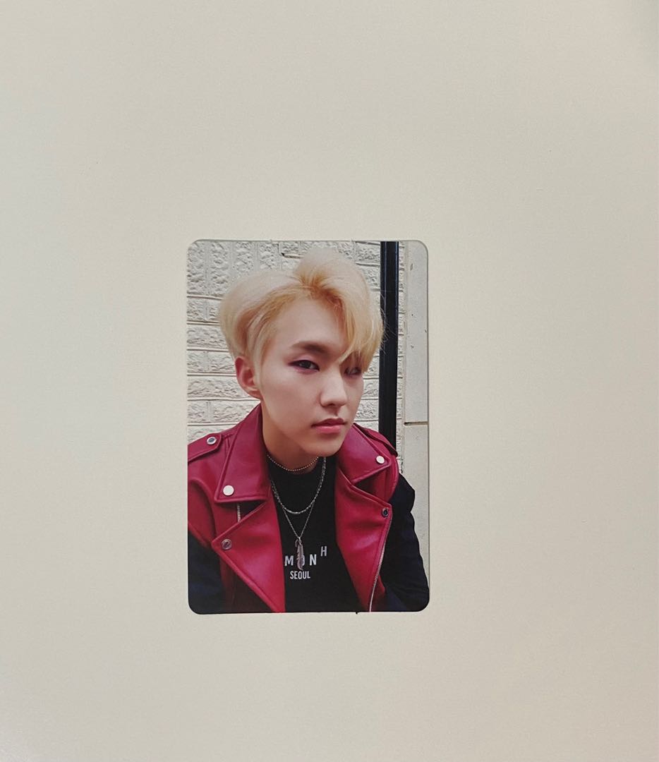Seventeen pc, Hobbies & Toys, Memorabilia & Collectibles, K-Wave on ...