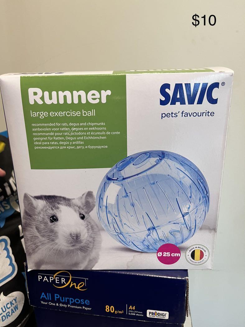 chinchilla exercise ball