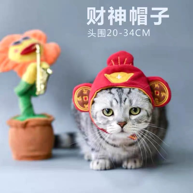 Chinese New Year Cat headgear Cat hat cai shen ye, Pet Supplies, Homes ...