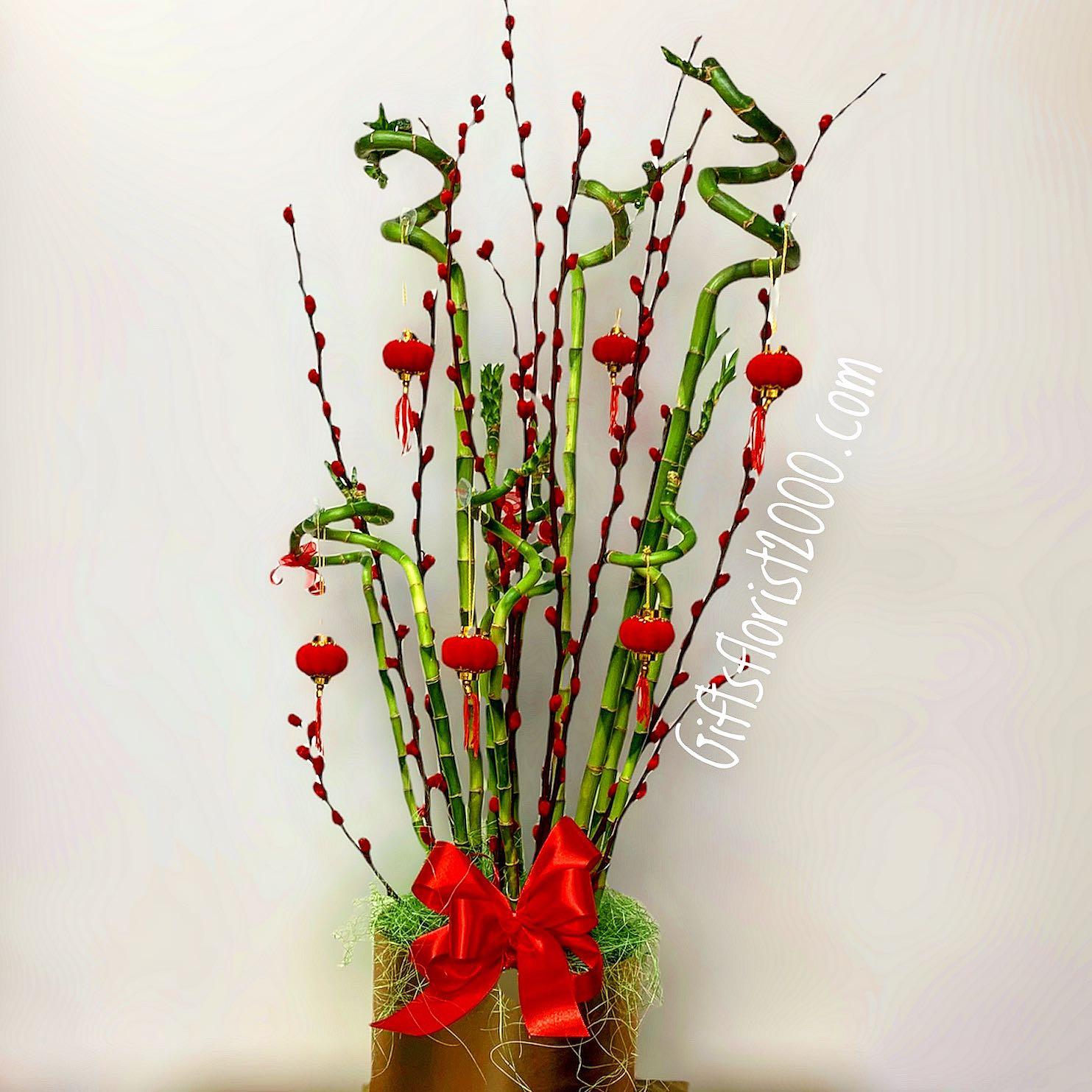 Lucky Bamboo Assorted Sizes-Curly Bamboo-Straight Bamboo-Lotus Bamboo ...