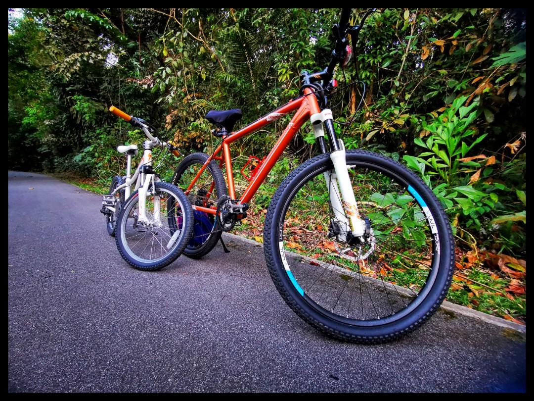 Polygon cosmic Cx 1.0, Sports Equipment, Bicycles & Parts, Bicycles on ...