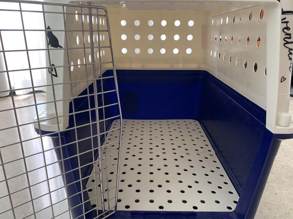PP30 Pet transport crate - Airline approved, Pet Supplies, Homes ...