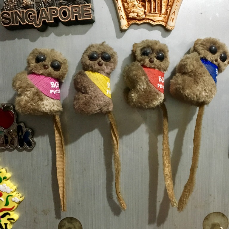 Tarsier Bohol Philippines Ref Magnet, Hobbies & Toys, Memorabilia ...
