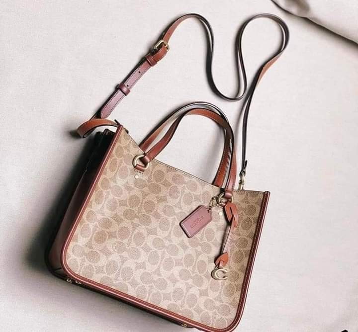 Coach Tyler Carryall In Signature Canvas, Women's Fashion, Bags ...