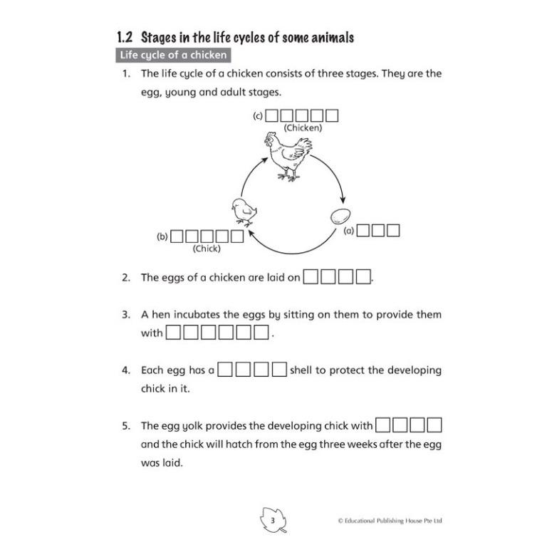 Primary 4 Science Practice 1000+ 2E/Primary 4 Science Assessment Book ...
